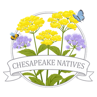 Home | Chesapeake Natives Inc.